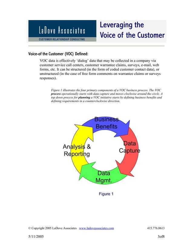 Voice of the Customer (VOC) Best Practices | PDF