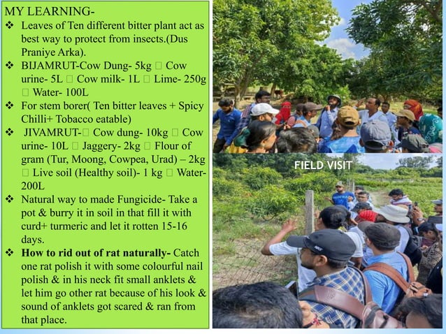 Student Ready Program RAWE 19212AGC101,PRAKASH KUMAR ,SRP.pptx