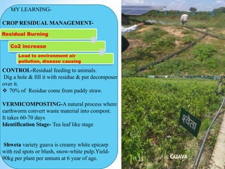 Student Ready Program RAWE 19212AGC101,PRAKASH KUMAR ,SRP.pptx