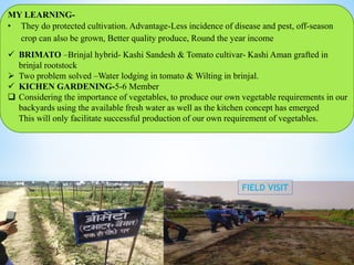 Student Ready Program RAWE 19212AGC101,PRAKASH KUMAR ,SRP.pptx