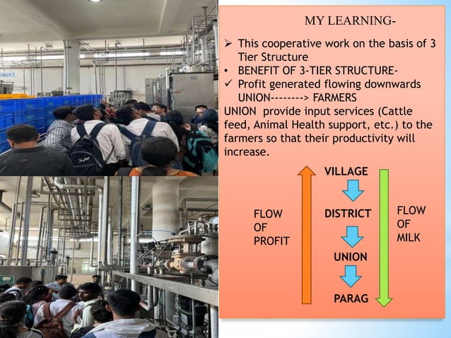 Student Ready Program RAWE 19212AGC101,PRAKASH KUMAR ,SRP.pptx