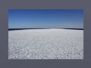 1925 serum run to nome | PPT