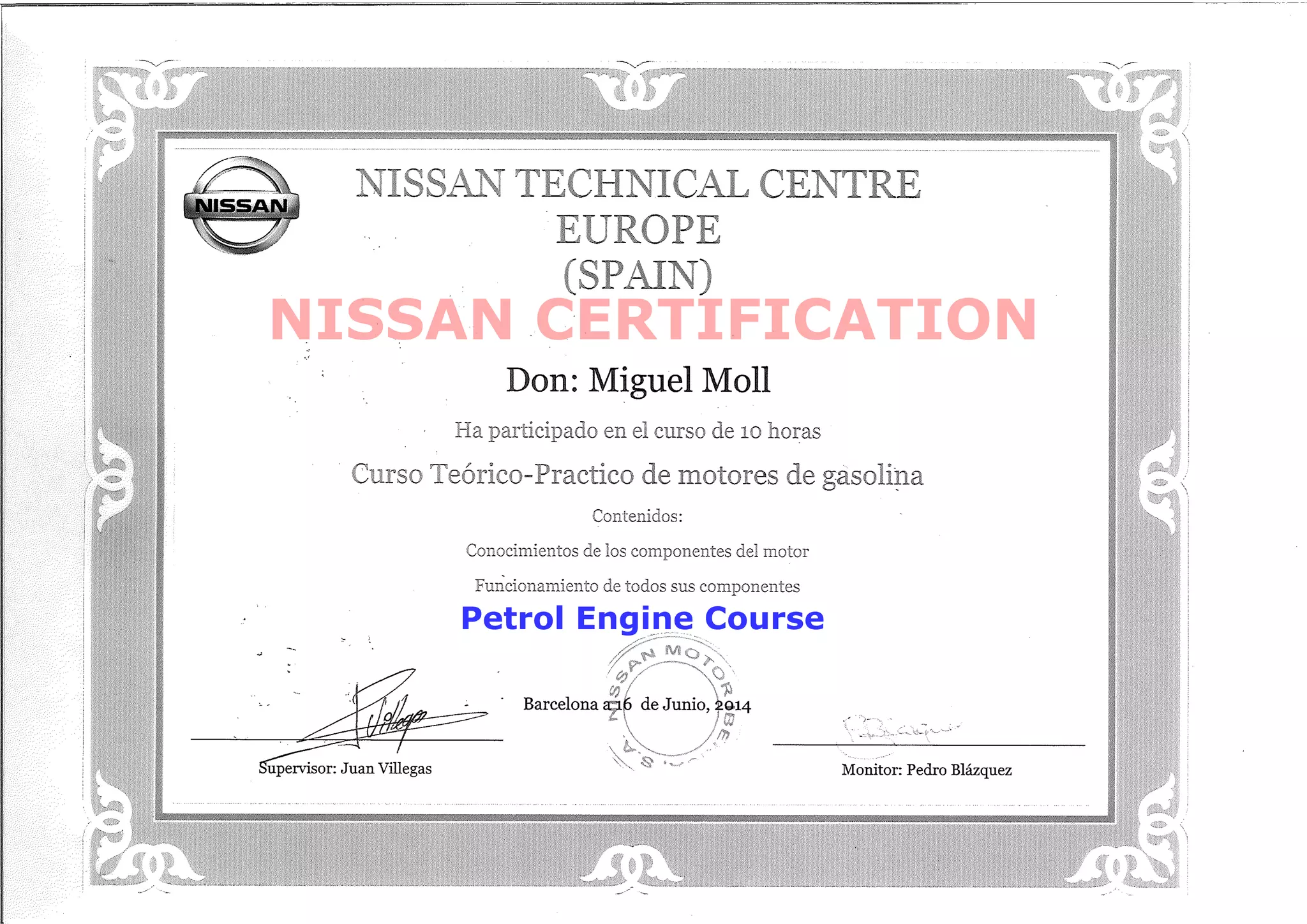 NISSAN PETROL ENGINE CERTIFICATE | PDF