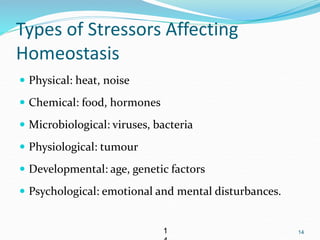 11111111111-Homeostasis-Presentation.ppt
