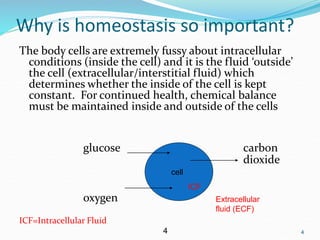 11111111111-Homeostasis-Presentation.ppt
