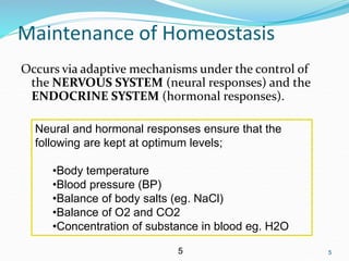 11111111111-Homeostasis-Presentation.ppt