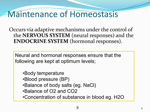 11111111111-Homeostasis-Presentation.ppt