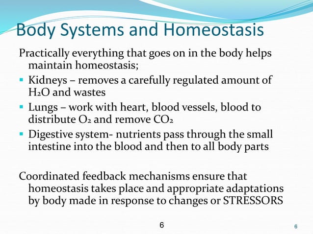 11111111111-Homeostasis-Presentation.ppt