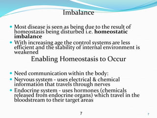 11111111111-Homeostasis-Presentation.ppt