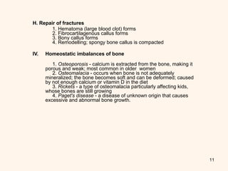 Bones and Cartilages | PPT
