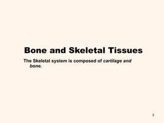 Bones and Cartilages | PPT