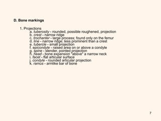 Bones and Cartilages | PPT
