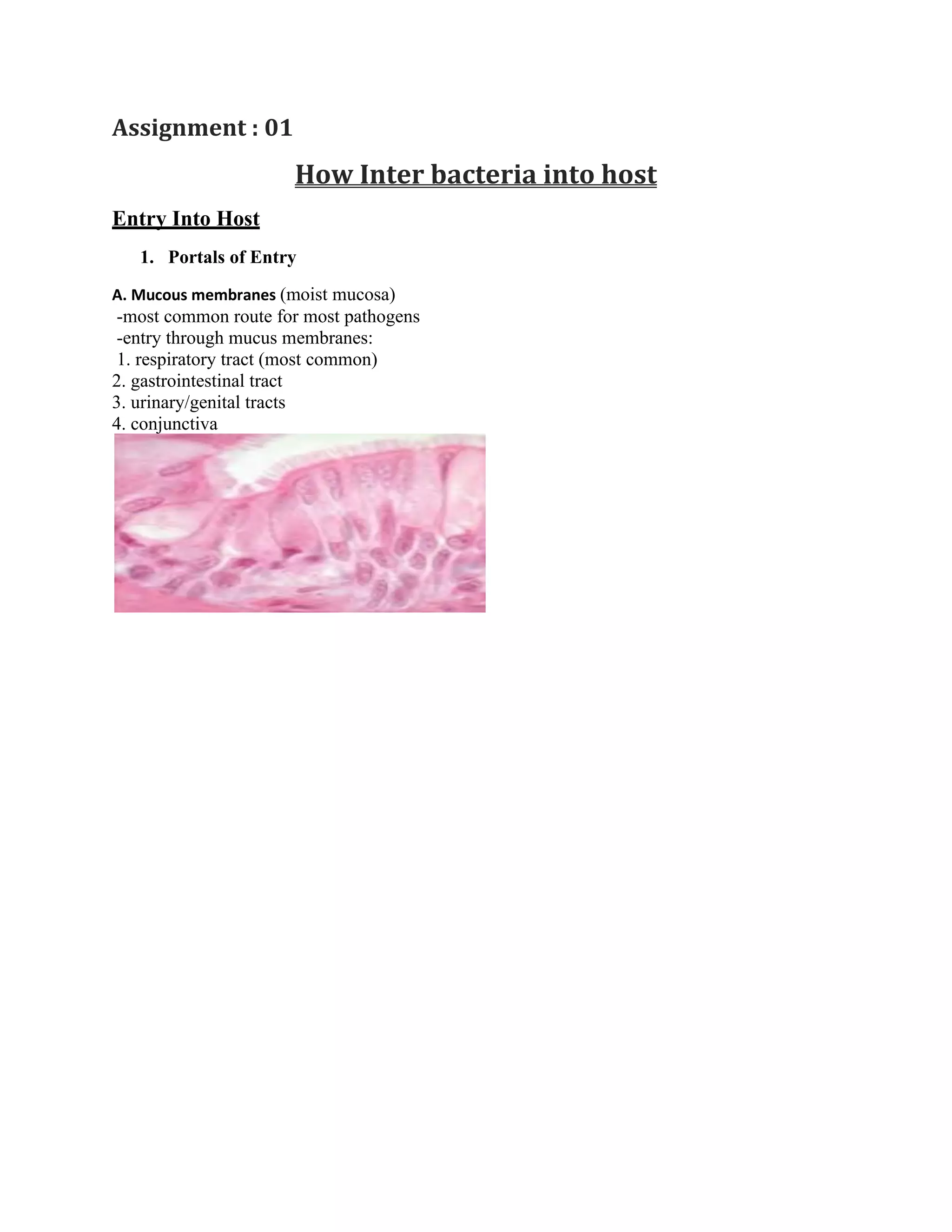 How Inter bacteria into host./ How penetrate host defenses | PDF