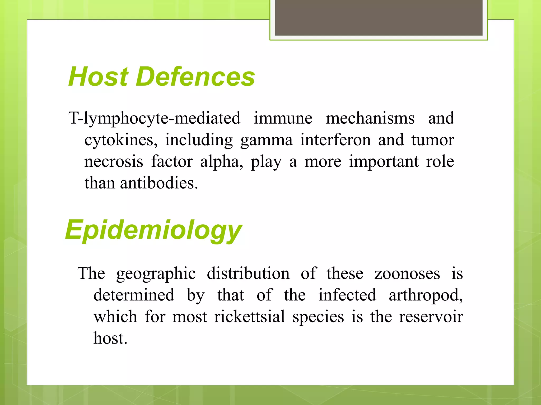 RICKETTSIA and SPIROCHETES | PPTX