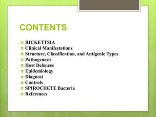 RICKETTSIA and SPIROCHETES | PPTX
