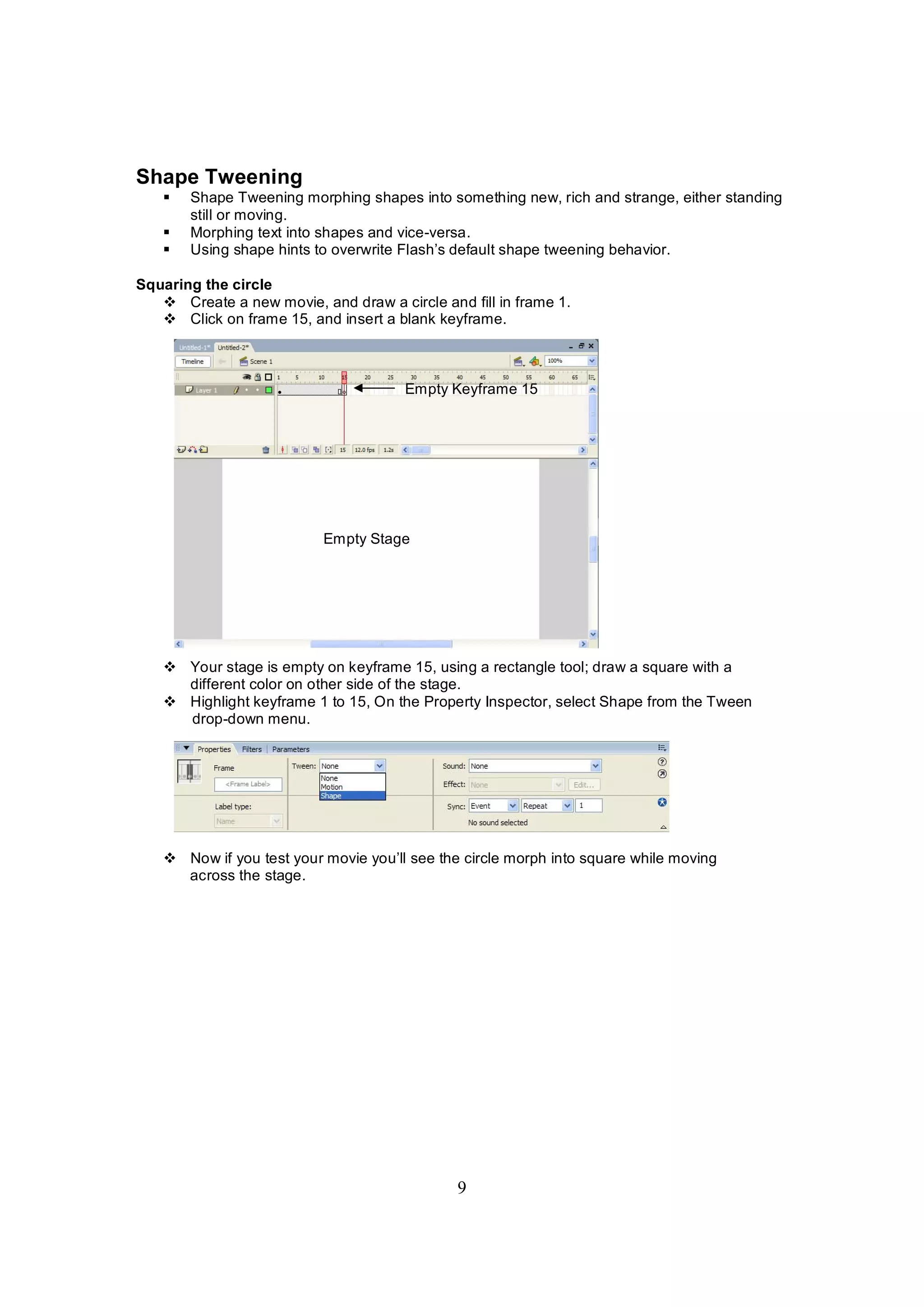 Flash Tutorial | PDF