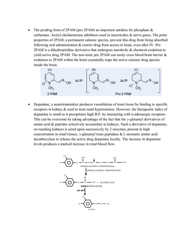 Basic concepts of Prodrug & their application in pharmacy fields | PDF