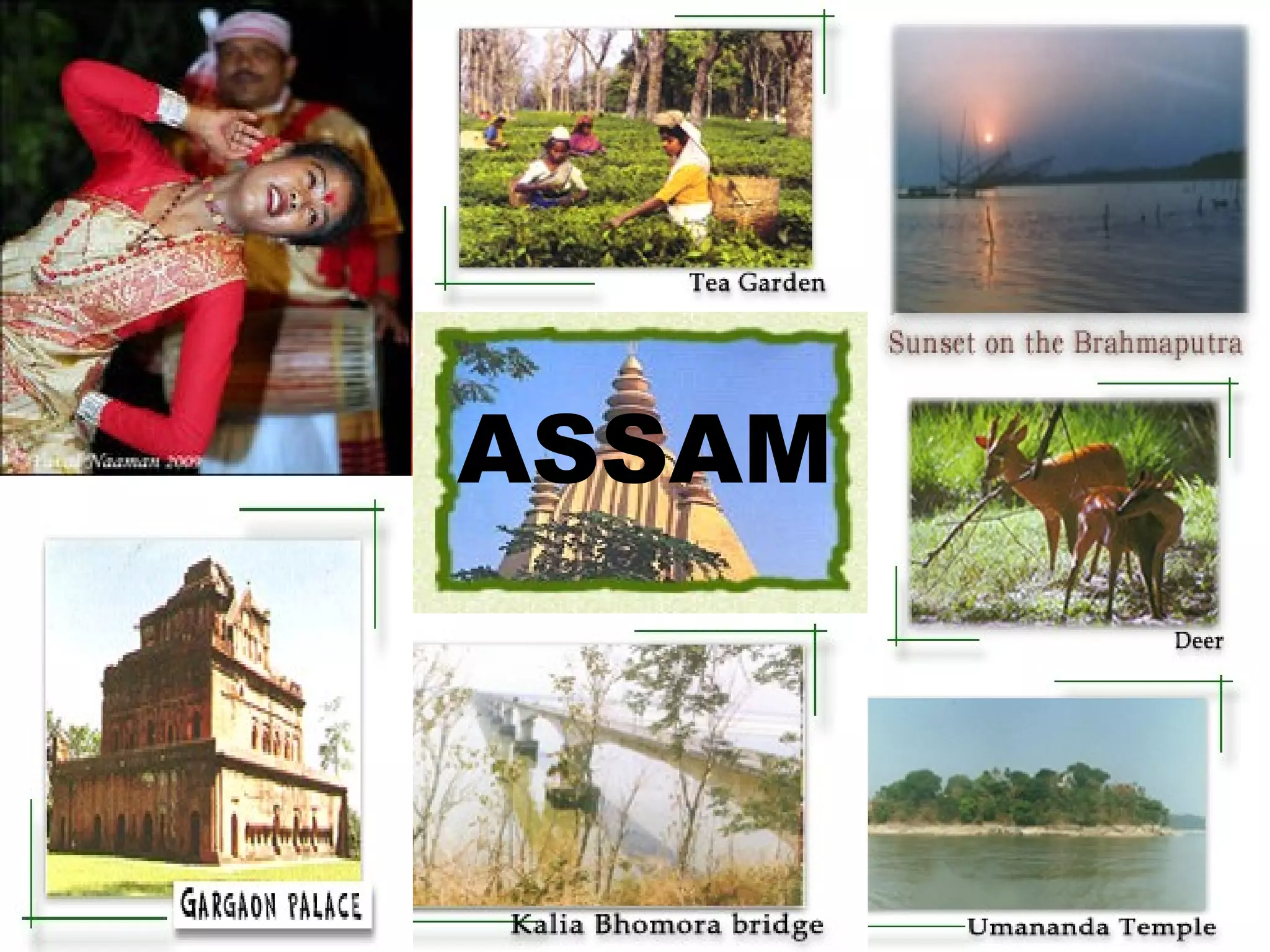 Assam Tourism Ppt | PPT