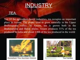 Assam Tourism Ppt | PPT