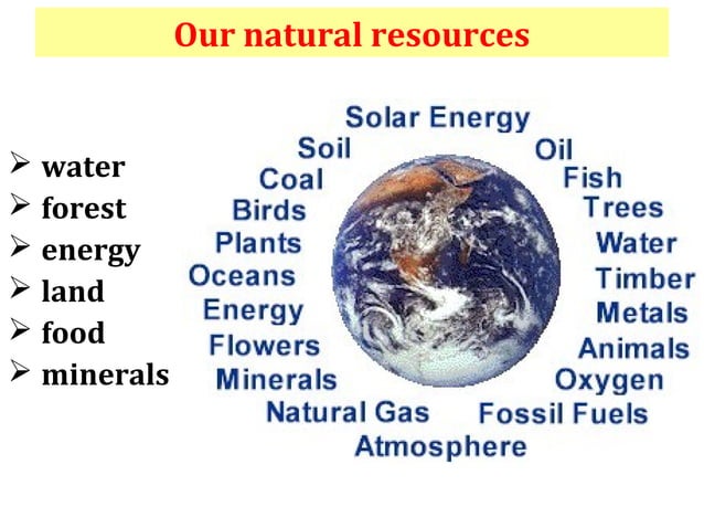Introduction on Environmental Studies | PPT | Environment | Science