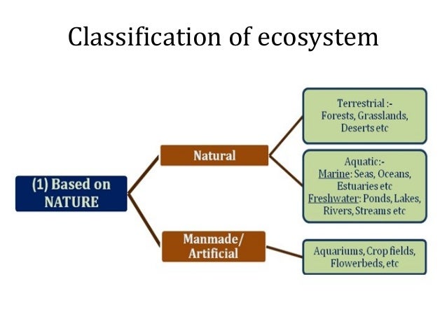 Ecosystem environmental studies unit:2