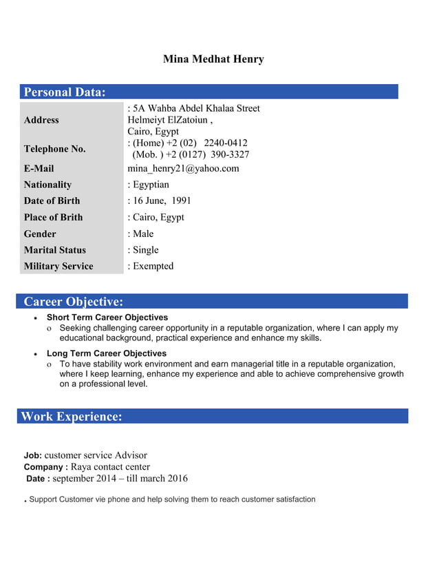 Mina Medhat's CV | PDF | Careers