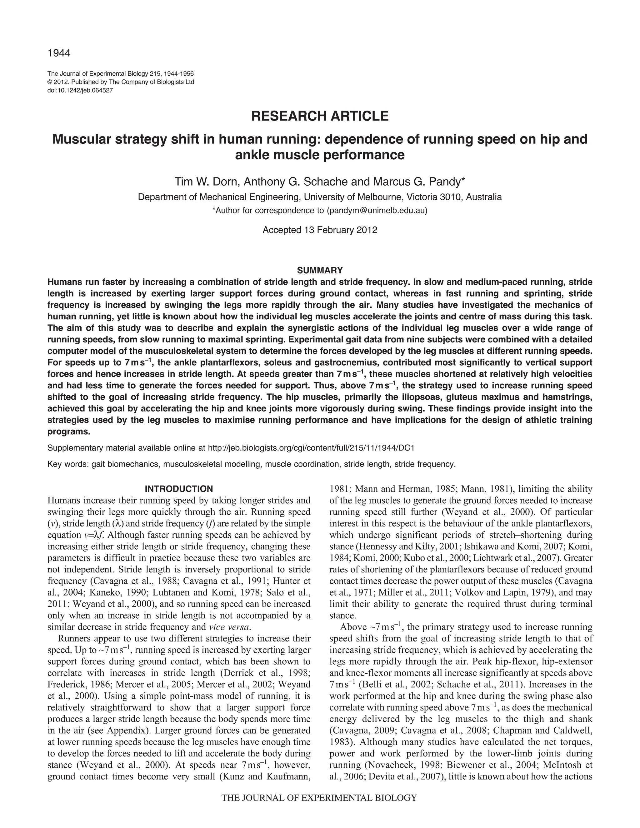 1944.pdf About muscular strategy shift in human running | PDF