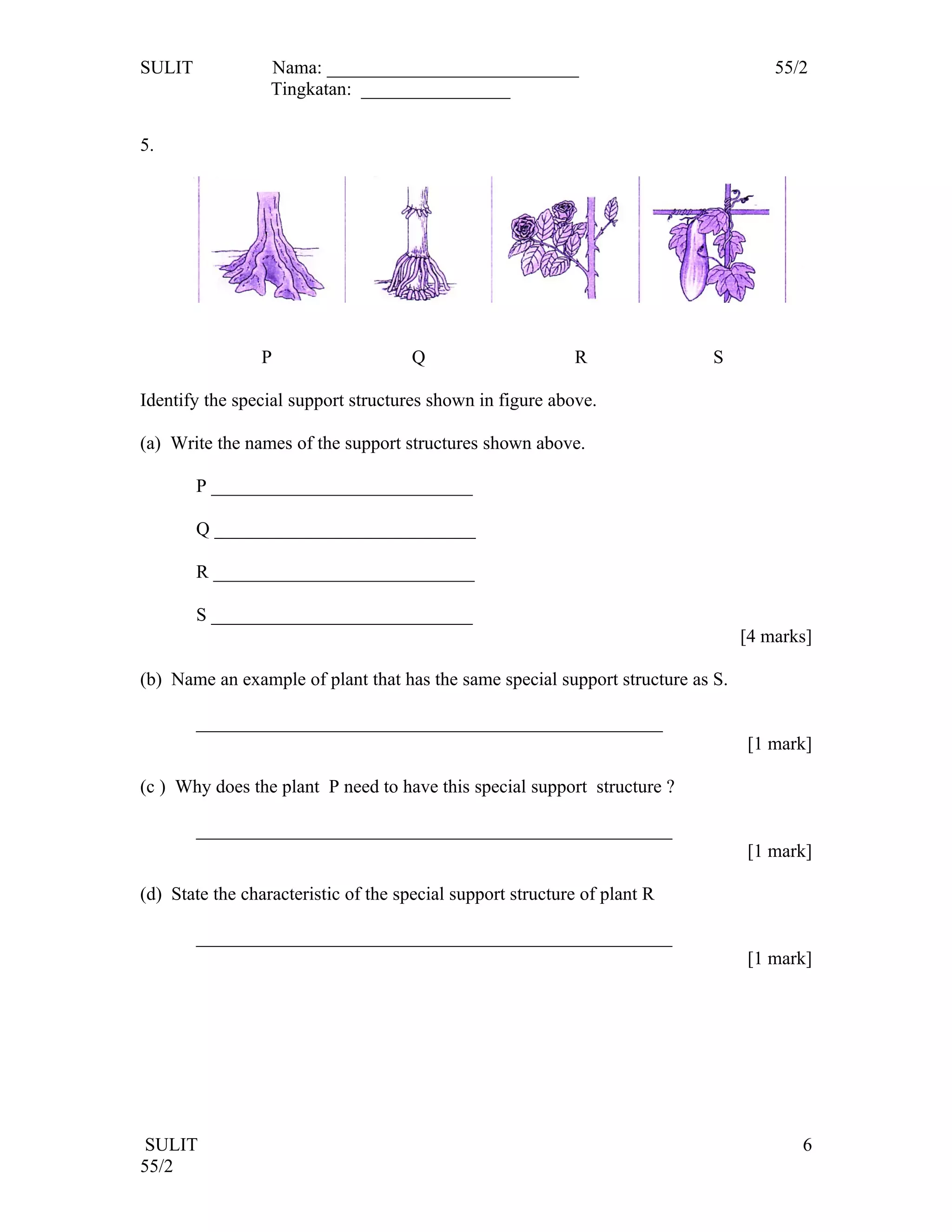 structured-questions-science-form-2 | DOC