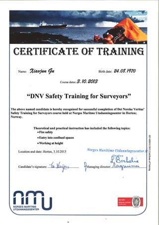 DNV Safety Training for Surveyors | PDF