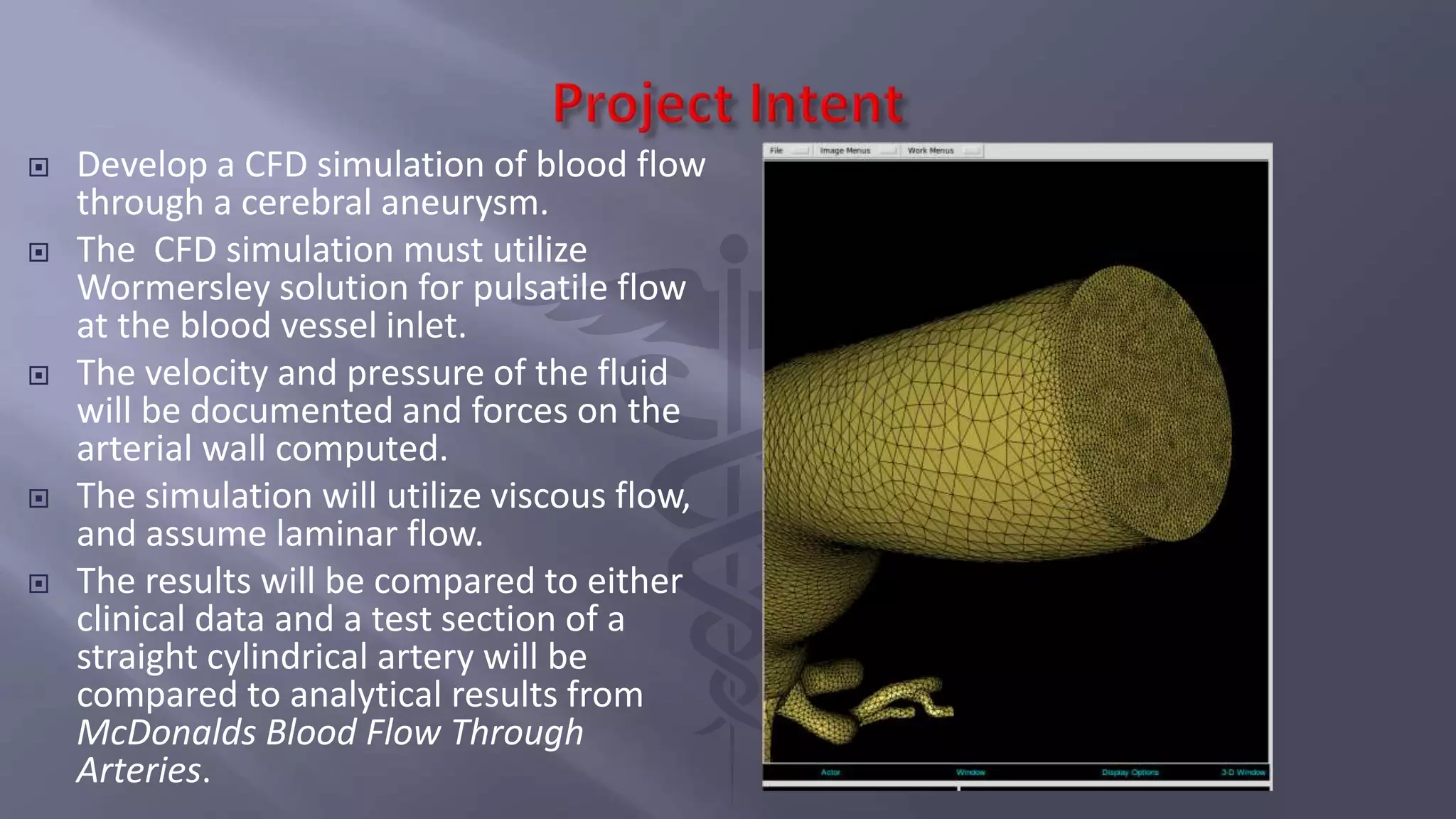 Blood Flow Through Cerebral Aneurysms | PPTX