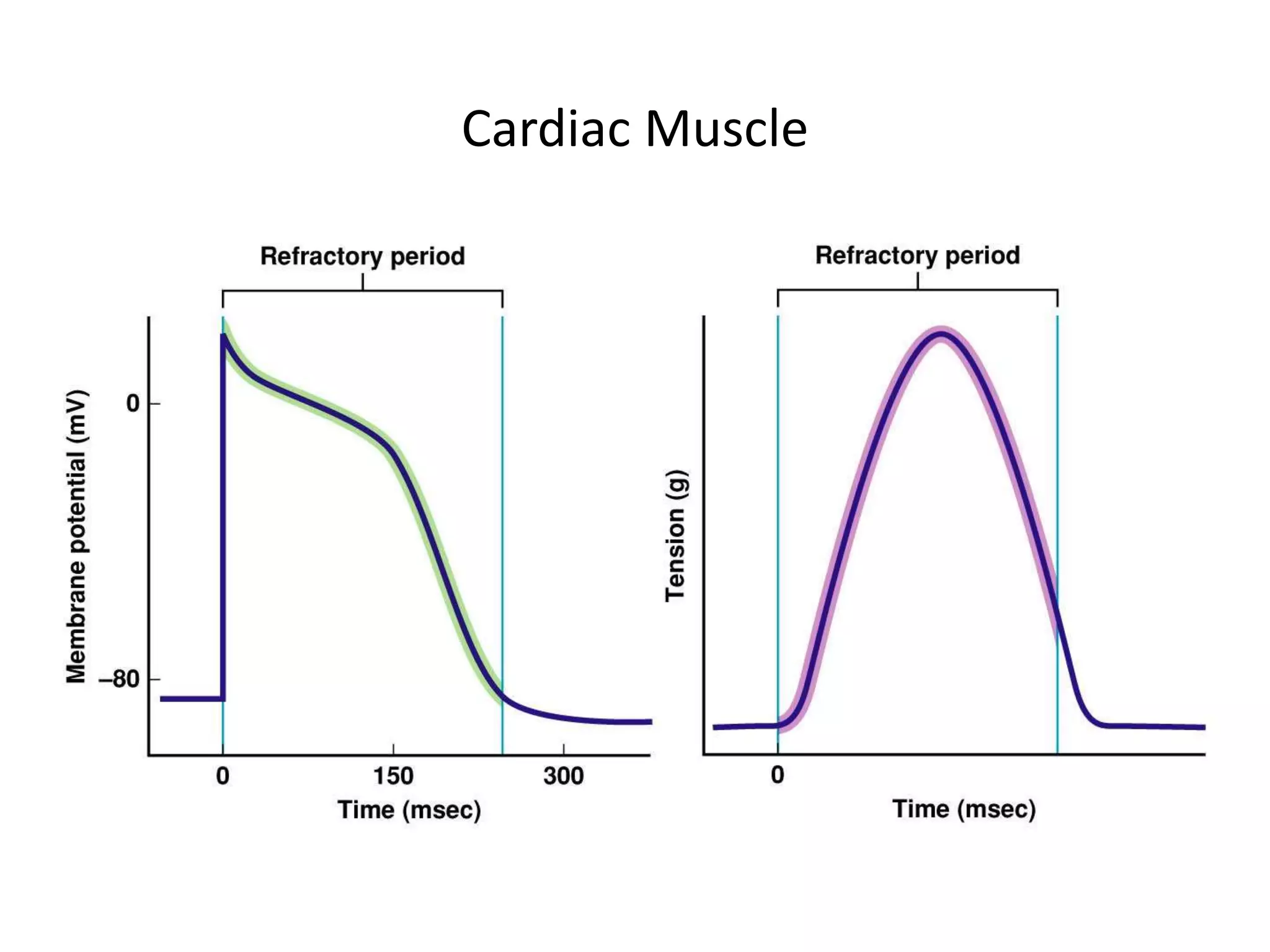 Electrical Activity of the Heart | PPTX