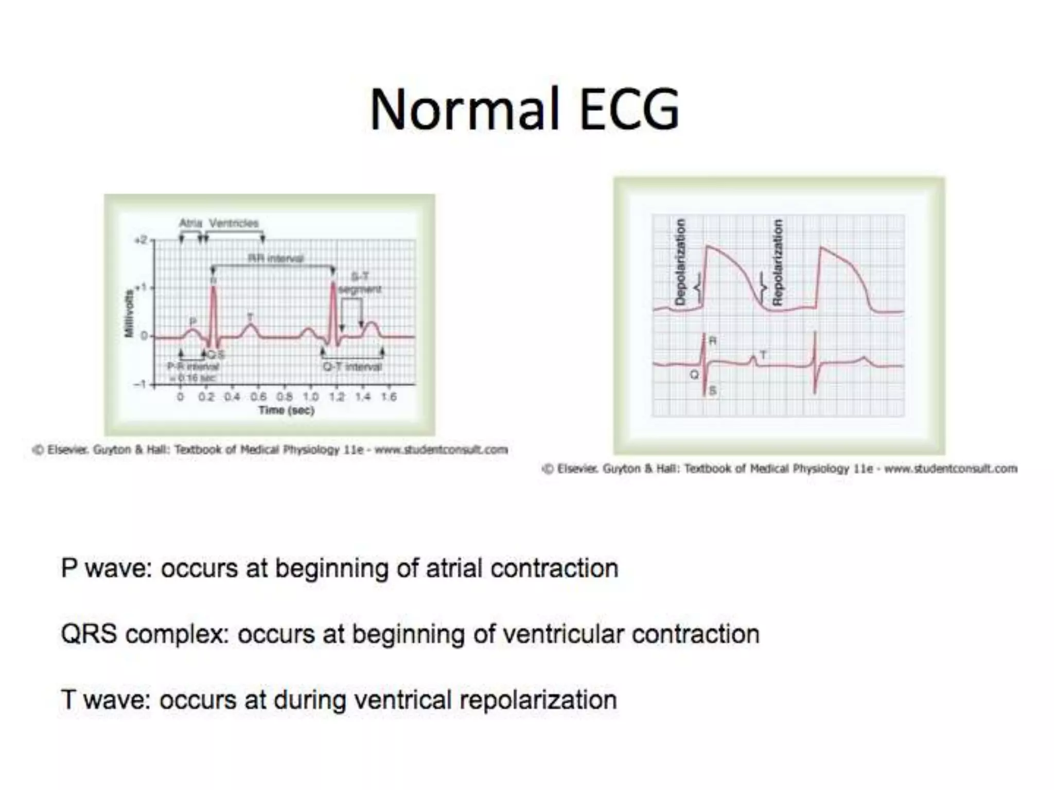Electrical Activity of the Heart | PPTX