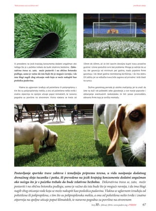 PODOVI februar 2016 br 30 str 64- 67 Jelena Mitrovic Vestacka trava | PDF