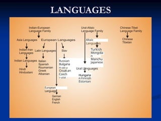 Turkish Language Origins Family Tree.pptx