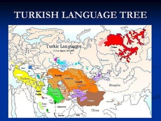 Turkish Language Origins Family Tree.pptx