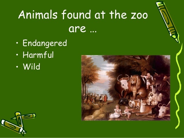 Animals in the Community