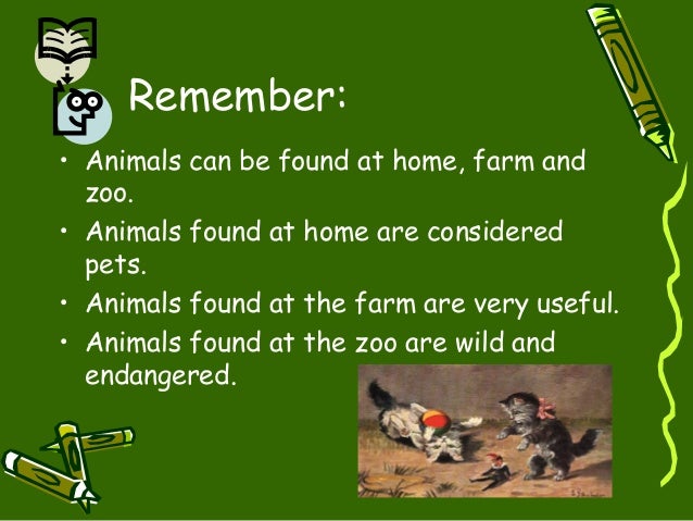 Animals in the Community