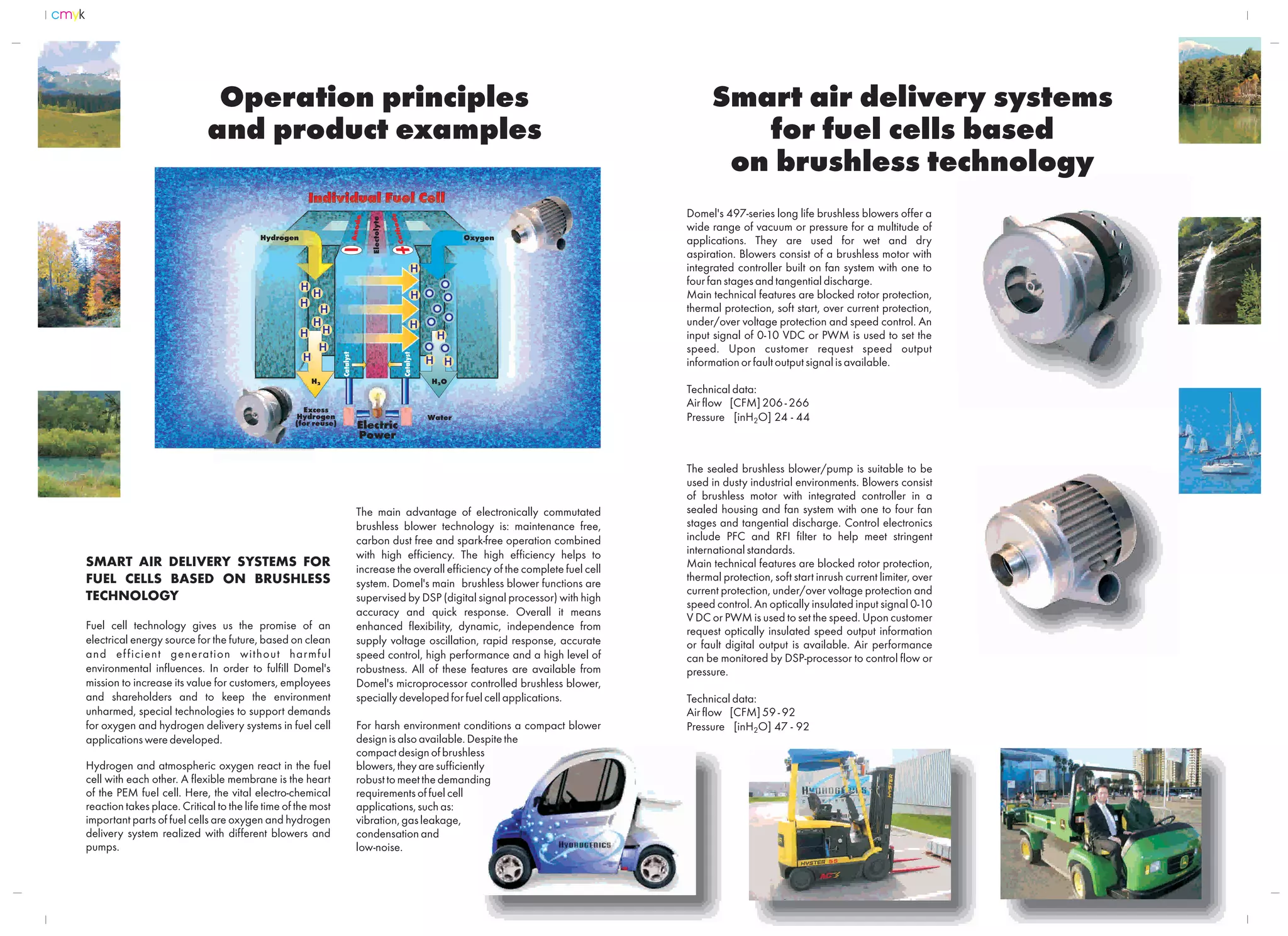 DOMEL Fuel Cell Info | PDF