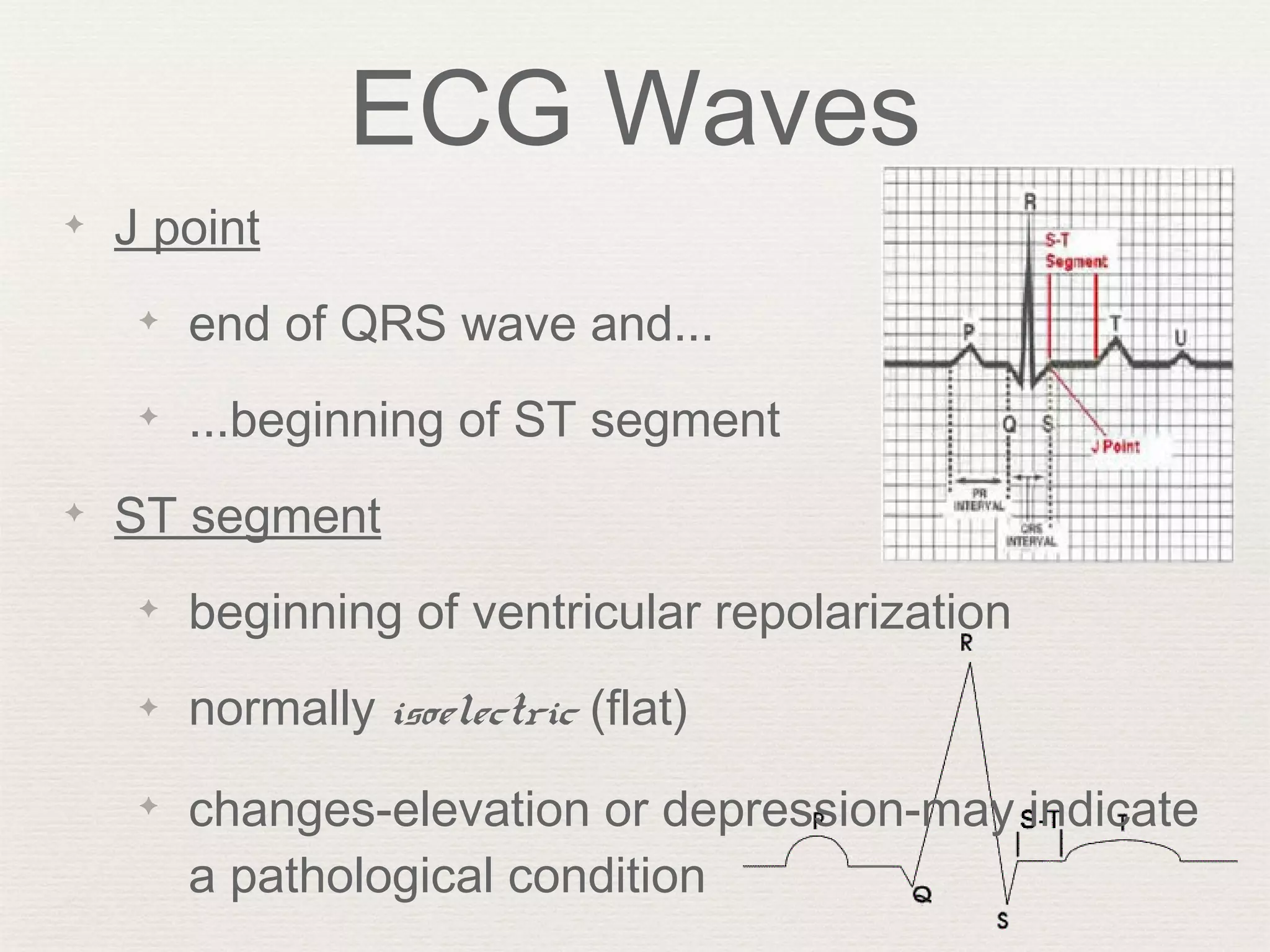 Electrical Activity of the Heart | PPT