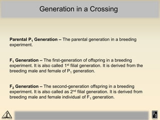 1970411271Mendelian Laws of Inheritance. | PPT