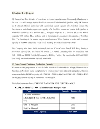 Project report_raw meal | PDF