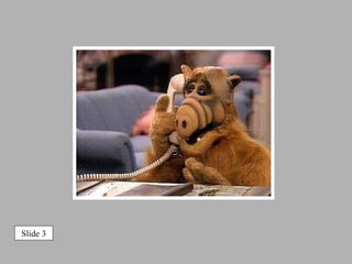 1980s Pop Culture | PPT