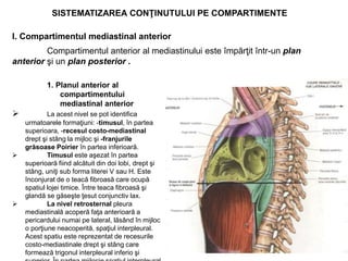 198334303 mediastin | PPT
