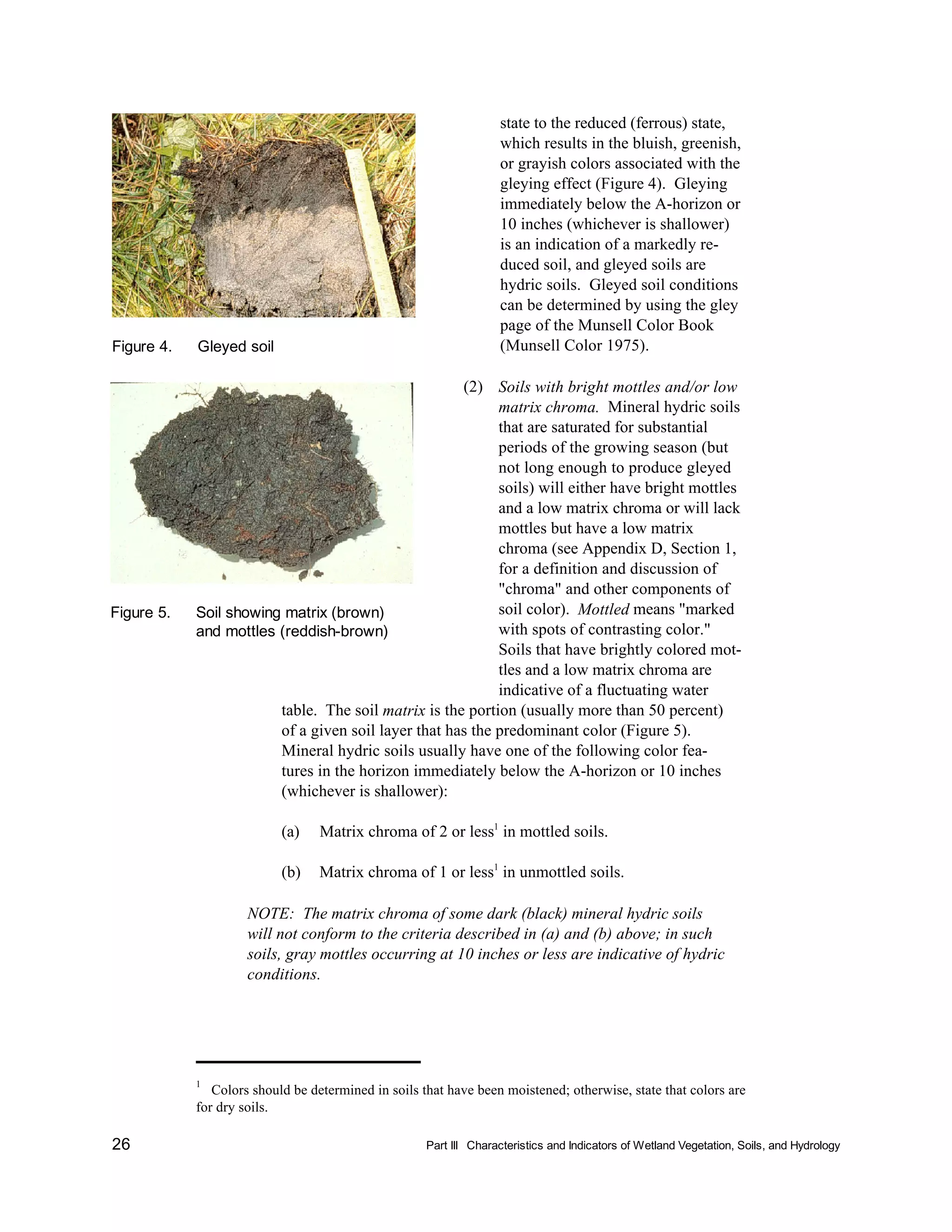 1987 army-corps-wetlands-delineation-manual | PDF