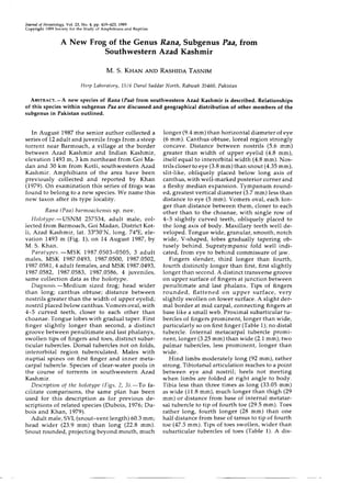 1989 tasnim new paa barmoachensis | PDF