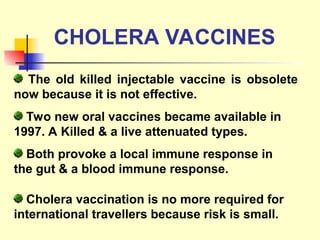 Epidemiology of Cholera in detail with diagrams | PPT