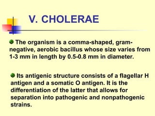Cholera - human disease definition, types diagnosis and treatment.ppt