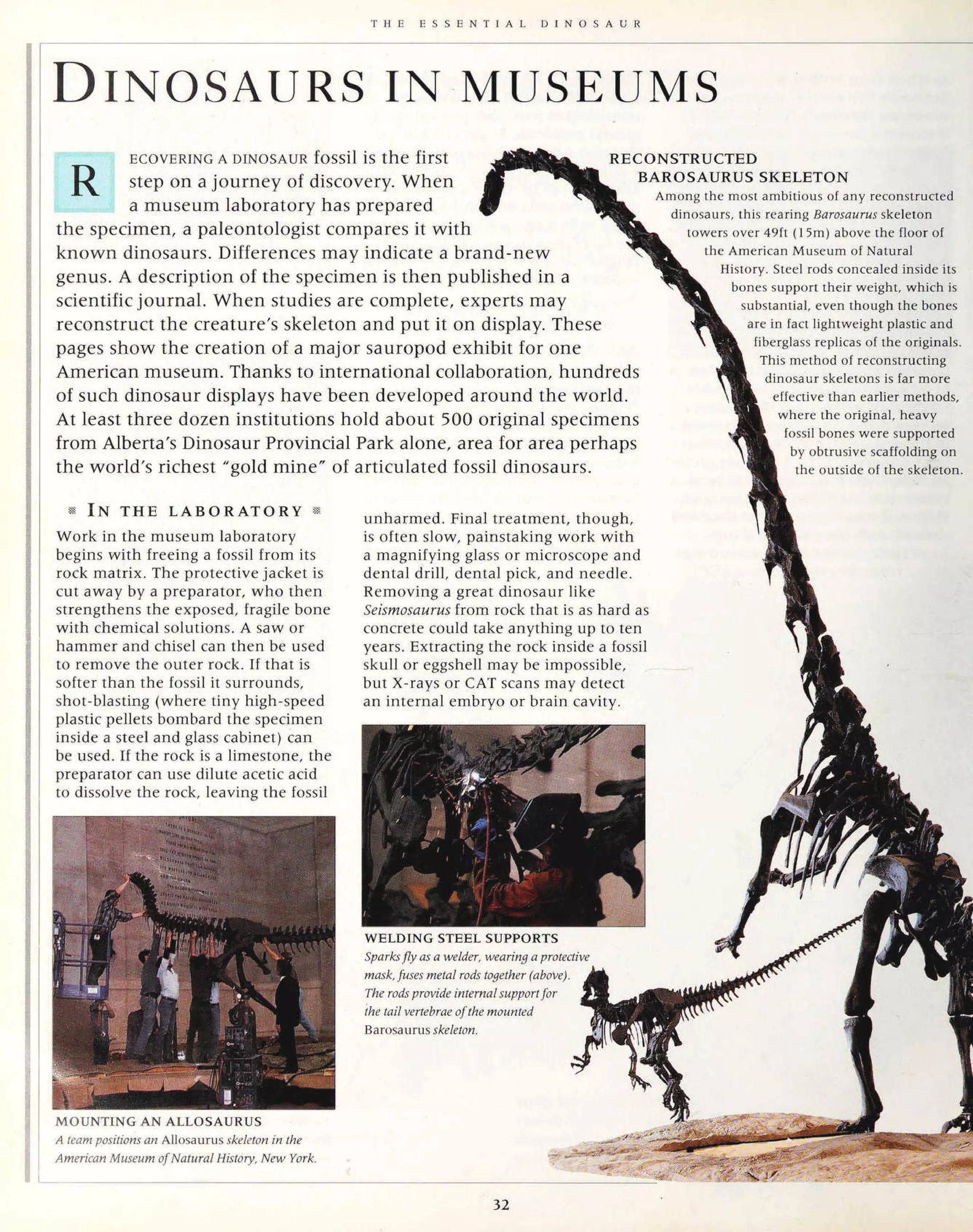 1993 - The Ultimate Dinosaur Book (ENG).PDF