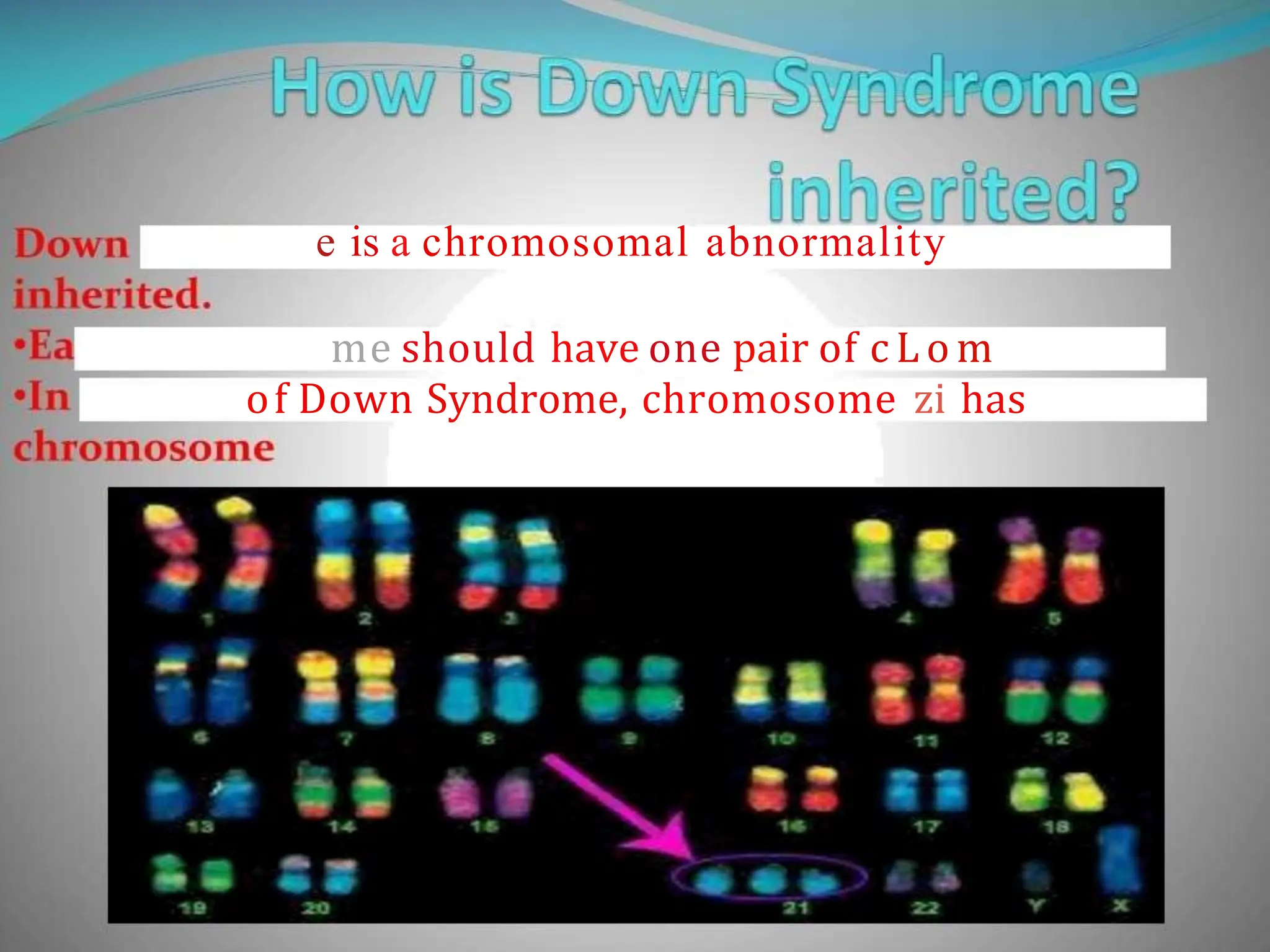Down syndrome information 199317519.pptx | Pregnancy | Reproductive Health