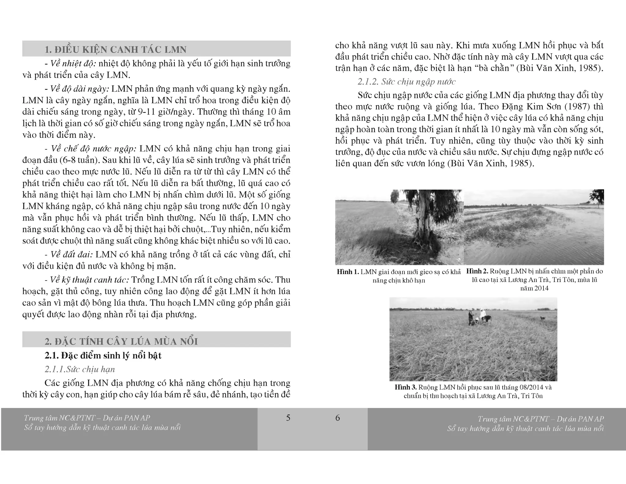 Floating rice technique book final | PDF